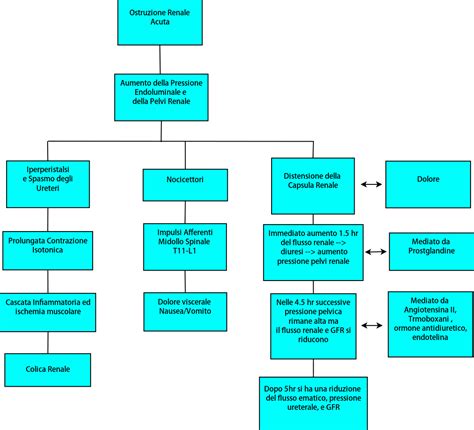 Tikz Pgf Problem Exporting From Dia To Latex Pgf Tex Latex Stack