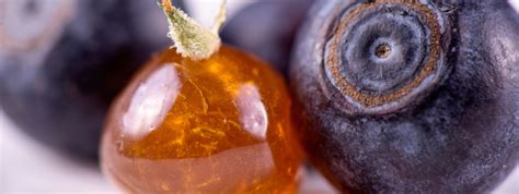 Anthocyanin Extraction Anthocyanin Pigment Extraction