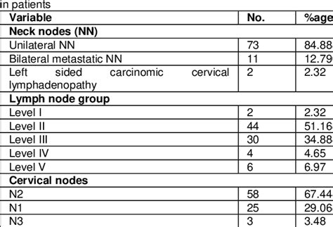 Presentation Of Neck Nodes Lymph Node Groups And Cervical Nodes
