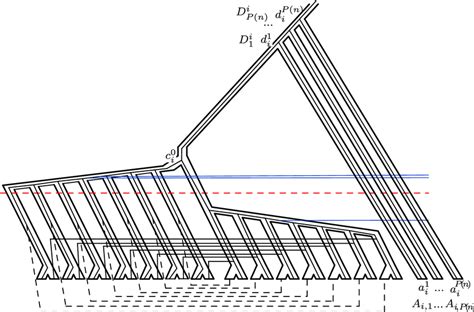 A Variable Gadget With An Anchor We Have Pn Species In The Anchor