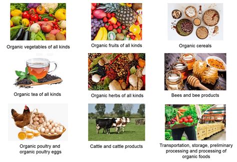 Tcvn 11041 On Organic Food Certification Vinacontrol