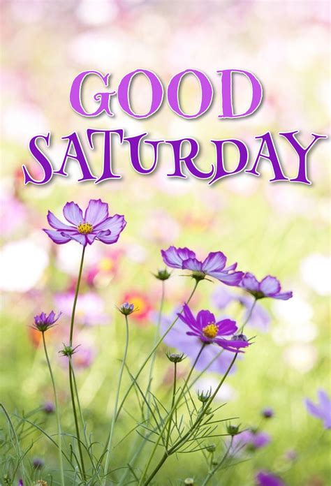 Good Saturday Quotes To Start Your Weekend Right