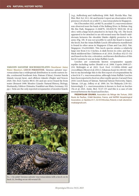 Pdf Natural History Notes Varanus Salvator Macromaculatus Southeast