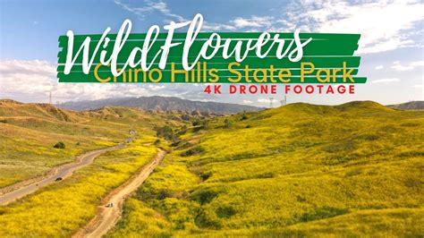 Wildflowers Chino Hills State Park 4k Drone Footage Youtube