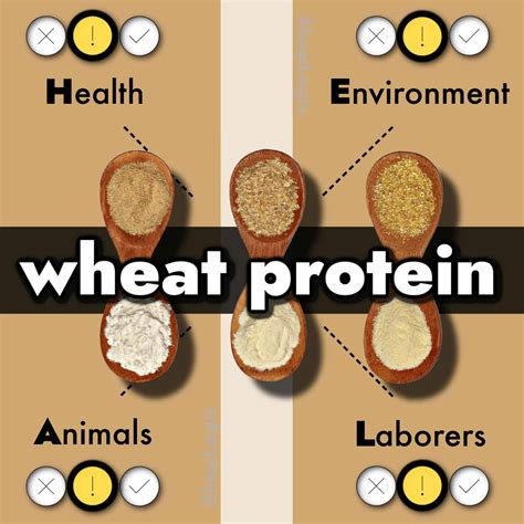 Wheat Protein Benefits Side Effects