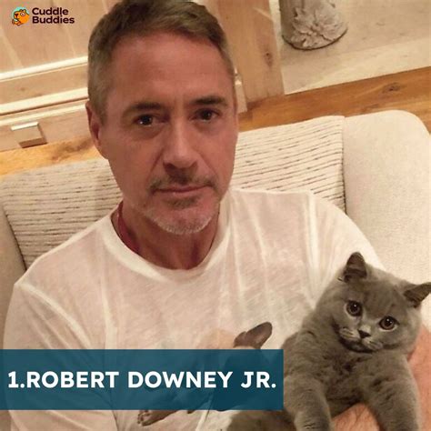 Cuddle Buddies Top 5 Celebs Who Are Cat People 1 Facebook