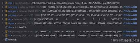 《机器学习》 基于svd的矩阵分解 推导、案例实现svd分解推导 Csdn博客