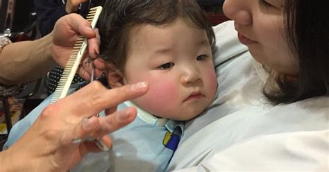 Home Daruma Kutami Yaotsu