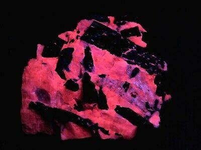 Fluoro Richterite Lustrous Crystals In Fluorescent Calcite Fine Cab Essonville 3847712469