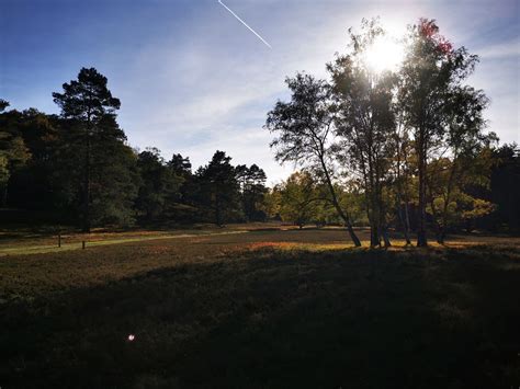 Harburg Hasselbrack Bredenberg Opferberg Wanderung Hamburg Bergfex