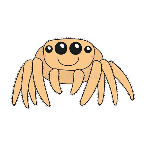 Funny Jumping Spider Stock Illustrations 221 Funny Jumping Spider Stock Illustrations Vectors