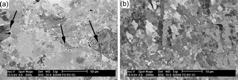 Sem Bse Micrographs Showing Microstructures Of A Fe 465 Co 5v 2c