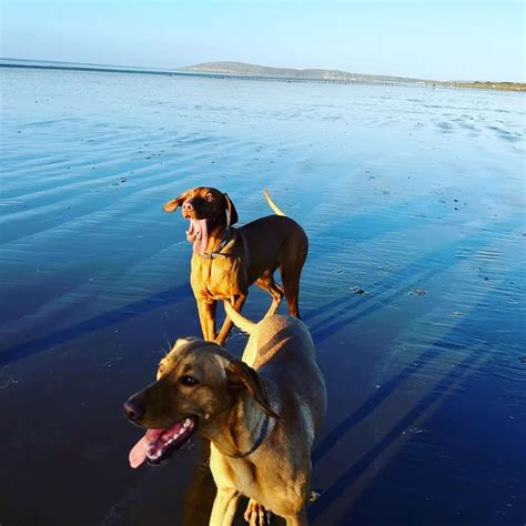 Nc Engineering Nc Engineering Added A New Photo