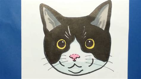 Tuxedo Cat Drawing