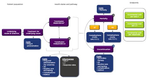 Economic Evaluation Of Severe Anaemia Review Based Recommendations And