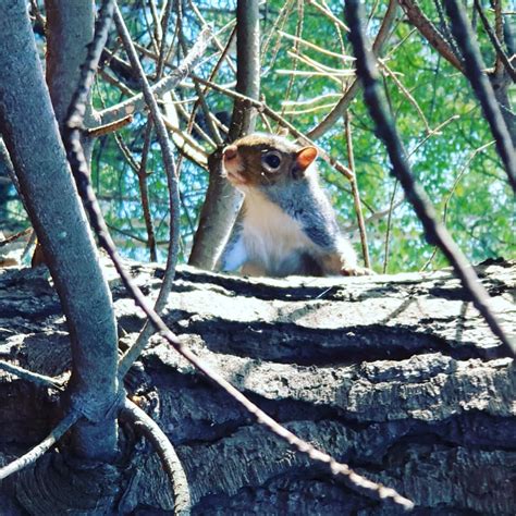 Tu Dublin Computer Science Tu Dublin Computer Science