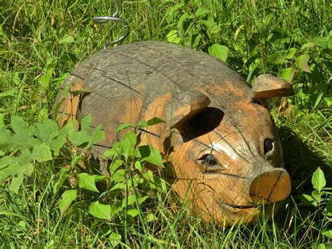 돼지 새끼 목초지 Pixabay의 무료 사진