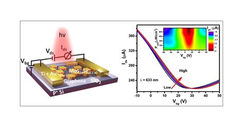High Performance Broad Band Photodetection Based On Graphenemos2xse21x Alloy Engineered