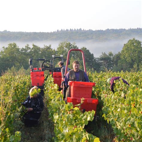 Fosse Grely Brut Nature 2019 Champagne By Ruppert Leroy Fatcork