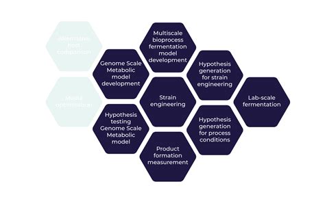 Strain Optimisation Ev Biotech