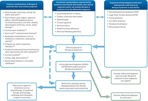 Algorithm For Raising Clinical Suspicion To Support An Efficient Download Scientific Diagram