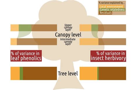 Summary Of The Variance Partitioning Among Random Effects And Model Download Scientific Diagram