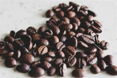 استكشف أفضل أنواع القهوة واختر المفضلة لديك