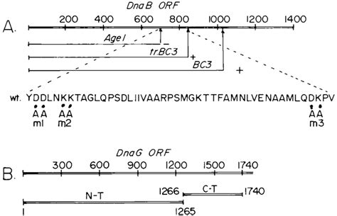 Maps Showing The Interaction Surfaces That Participated In The