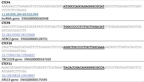 Table 7 From A Self Complementary Aav Proviral Plasmid That Reduces