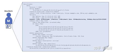 区块链开源实现hyperledger Fabric架构详解 知乎