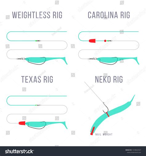 Carolina Rig Texas Rig Weightless Rig Stock Vector Royalty Free