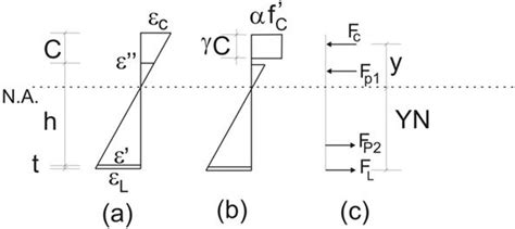 Strain Compatibility Download Scientific Diagram