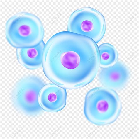 Cell Spherical Cell Animal Cell Microstructure Cartoon Blue Sphere