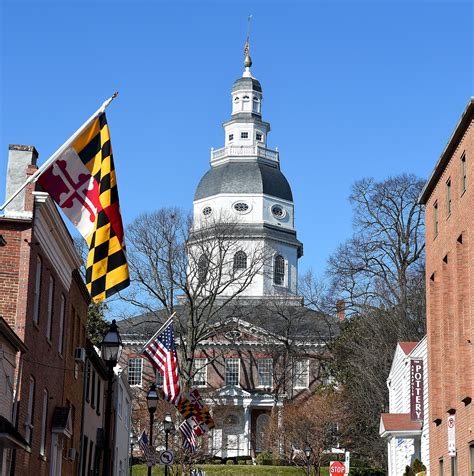 Zeeshan Aleem Profile And Activity Vox