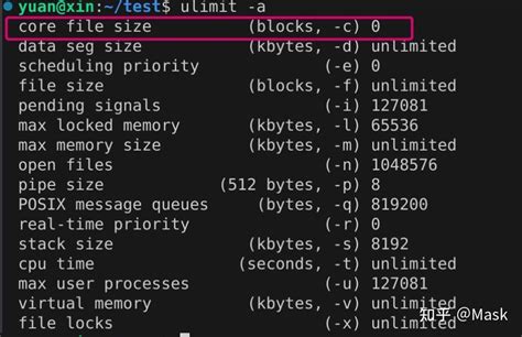 Ubuntu下找不到核心转储文件（core Dump）的解决方案 知乎