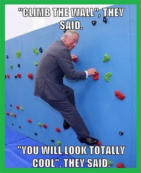 Walls Memes Busy Reaching A Whole New Level Funny Word Art Print