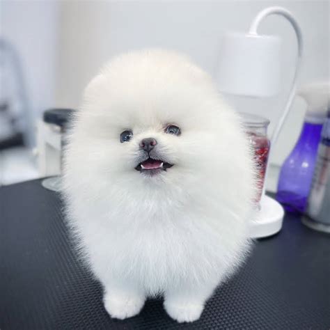 서울예술실용전문학교