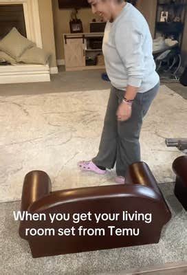 Just Add Water” Couple Replaces Their Couch With A 399 Temu