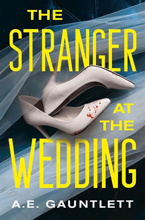 The Stranger At The Wedding A Novel 9781250343369