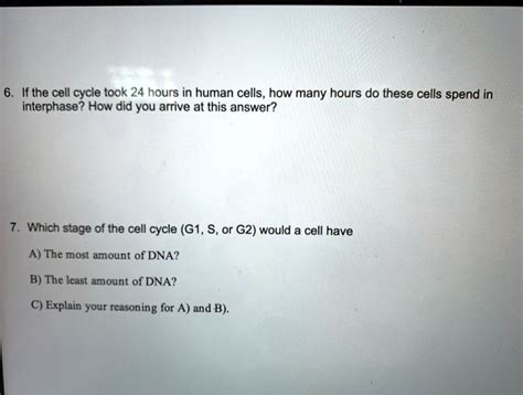 If The Cell Cycle Took 24 Hours In Human Cells How Many Hours Do These