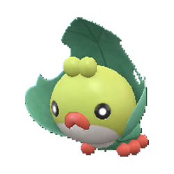 Sewaddle