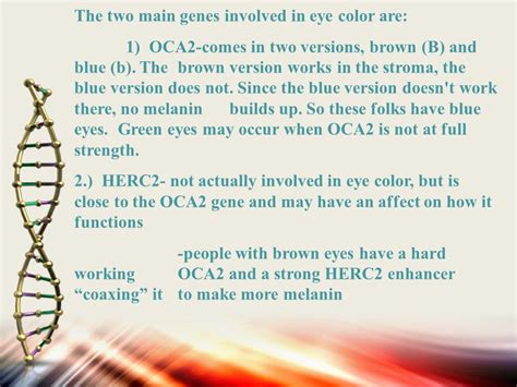 Polygenic Inheritance Hair Color