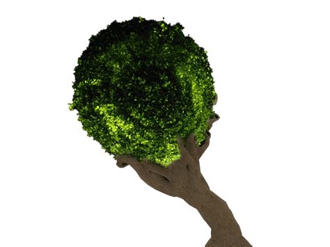 Virtual Tree Collection Opensea