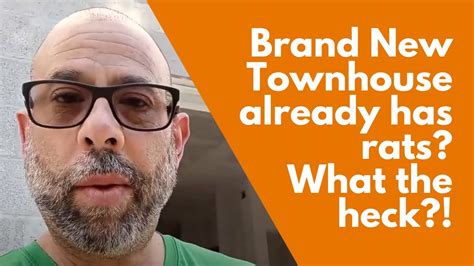 Why You Have Rats In A Brand New Townhouse In Homestead Florida Youtube