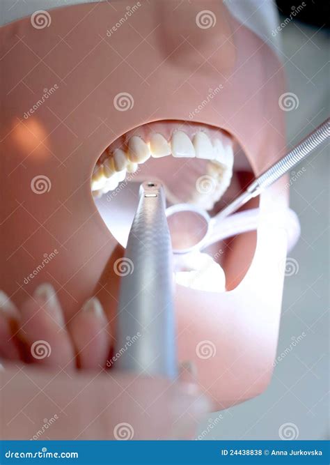 Zahnmedizinische Handhabungen Mit Phantom Stockfoto Bild Von Makro Ausrüstung 24438838