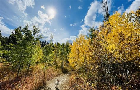 10 Best Hikes And Trails In Cypress Hills Interprovincial Park Centre