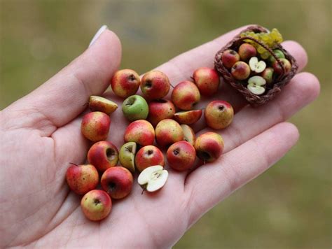 Miniature Apples For A Dollhouse 112 And 16 Scale Realistic Fruits