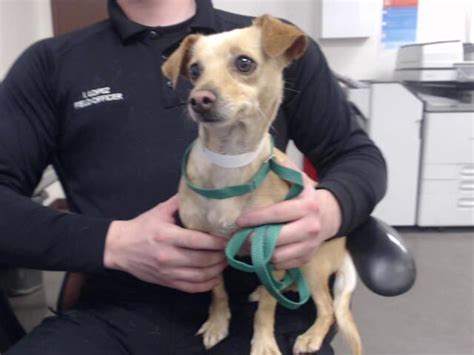 Poor Coco Lets Save Her Phoenix Wake Up Foster To Save Alix Novack