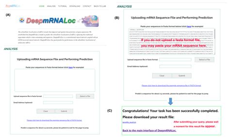 Deepmrnaloc A Novel Predictor Of Eukaryotic Mrna Subcellular
