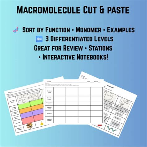 Macromolecule Cut And Paste Activity By Ms Denisons Science Toolbox